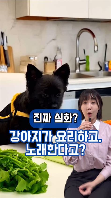 📌주요기능과 바로가기 링크가 필요하다면 아무댓글 남겨주세요 1️⃣엑셀 함수→ 챗 Gpt 2️⃣회의록 작성 →클로바노트 3️⃣시장 조사 →퍼플렉시티 하세요 4️⃣ppt