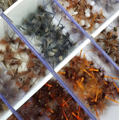 Dry Flies For Trout Fly Fishing Essential Flyfisher