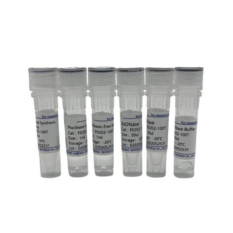 反转录试剂盒First strand cDNA Synthesis Mix 一管化去基因组三代酶 T