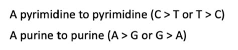 Genetics Lecture 6 7 Flashcards Quizlet