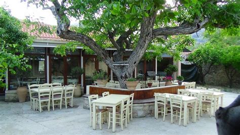 ΦΩΤΟΓΡΑΦΙΕΣ ΚΡΙΤΑΜΟΝ ΠΑΡΑΔΟΣΙΑΚΟ ΕΣΤΙΑΤΟΡΙΟ And ΠΑΡΑΔΟΣΙΑΚΟΙ ΞΕΝΩΝΕΣ ΚΟΥΖΙΝΑ ΓΑΣΤΡΟΝΟΜΙΑ