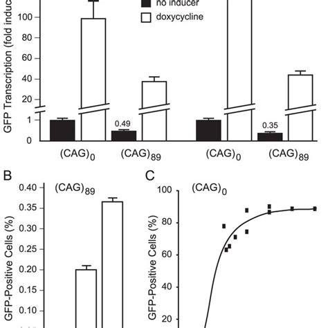 Relationship Between Gfp Fluorescence Intensity And Cag Repeat Tract Download Scientific