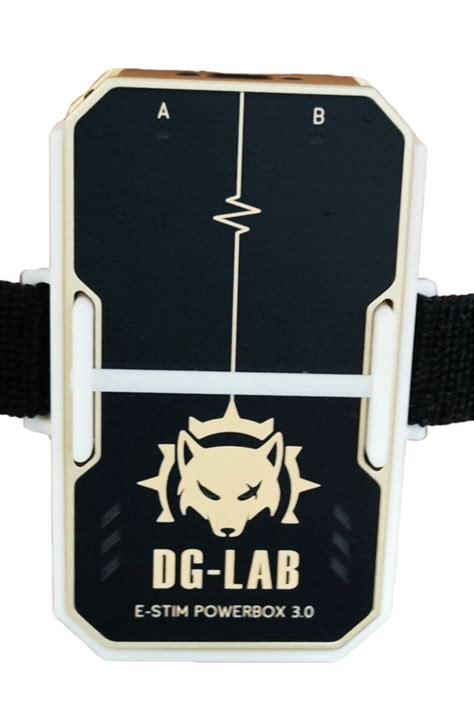 Base Of The Dg Lab Mainframe Coyote Mainframe Base By 天行世忆 Makerworld