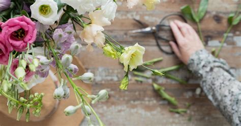 가위로 꽃을 자르는 사람 사진 Unsplash의 가위 이미지