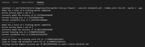 Pytorch Classifier Complicitmatter