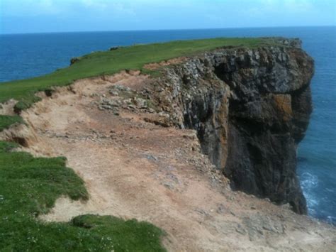 Stackpole Estate Woodland Trust