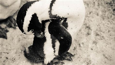 How To Tackle A Stretch Assignment