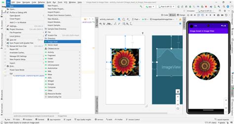 How To Import Image As Asset And Show It In Imageview As Static Image