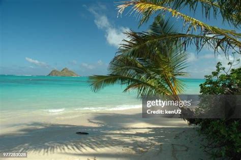 Lani Kai Photos And Premium High Res Pictures Getty Images