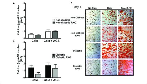 Adventitial Fibroblasts Afbs Calcification Is Not Affected By The