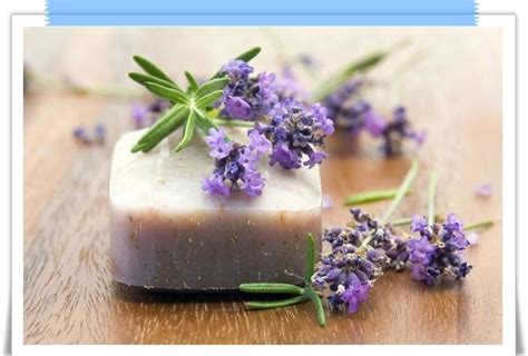 천연 비누만들기 에코파크성지 성지체험농원