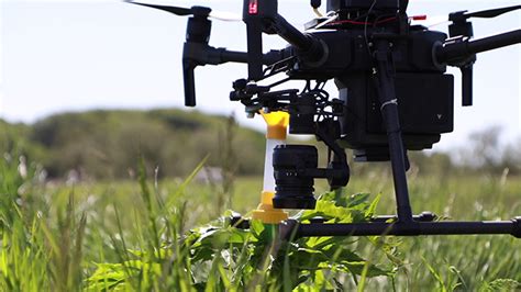 Drones As Tools Flying Weed Control Can Provide Environmental And Bottom Line Savings Danish