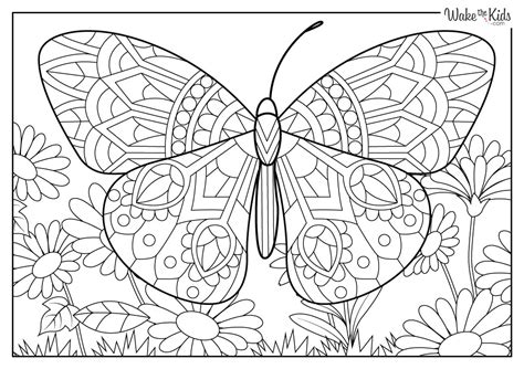 Butterfly Mandala Coloring Pages Dont Eat The Paste Spring