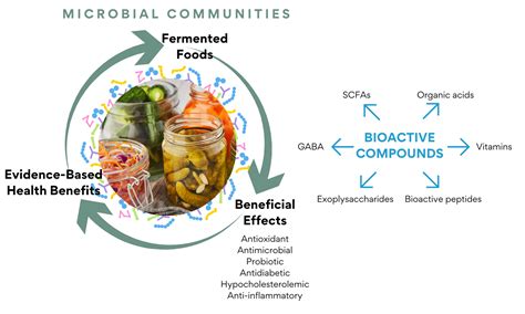 Fermented Foods Blog