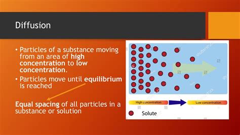 States Of Matter Ppt Download