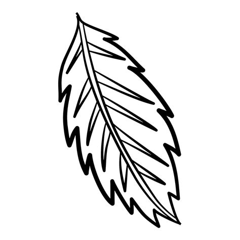 73 Clever Leaf Outlines Leaf Line Art Leaf Shapes