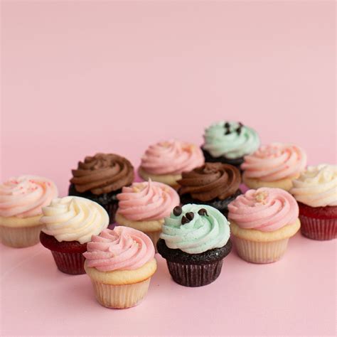 Mini Cupcakes Crave Cupcakes