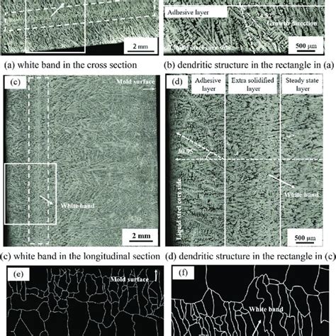 Solidification Structure Of The Wide Center Sample At 500 Mm Below The