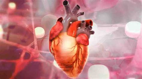 The Silent Blackout Types Of Syncope Happiest Health