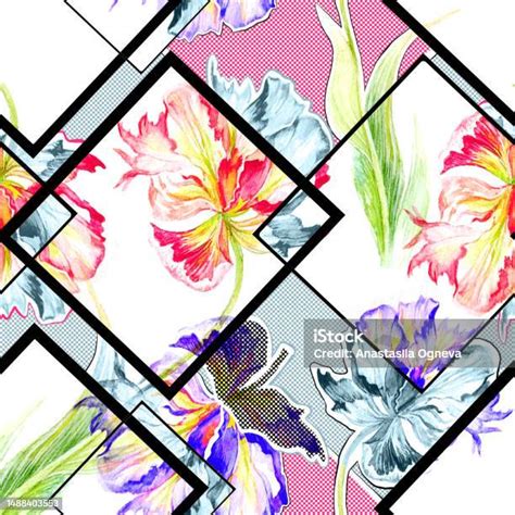 흰색 배경에 검은색 기하학적 선이 있는 수채화 사실적인 튤립 검은색에 대한 스톡 벡터 아트 및 기타 이미지 검은색 구도 기하 Istock