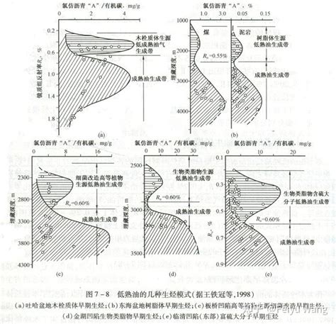 28 什么样的生烃模型是合理 知乎