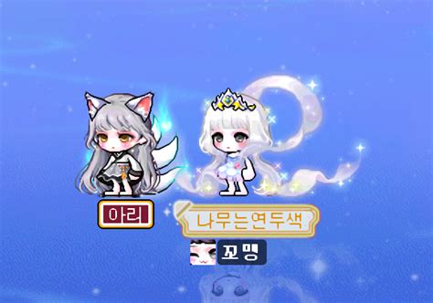 엘프 왕의 티아라 드디어 얻었다 메이플스토리 에펨코리아