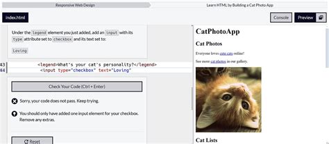 Correct Code Wont Pass On Step 56 Of Learn Html By Building A Cat