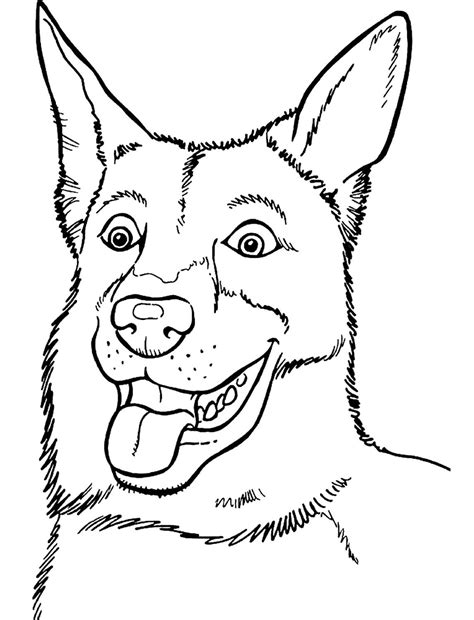 Розмальовка німецька вівчарка