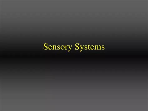 PPT Sensory Systems PowerPoint Presentation Free Download ID