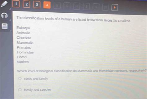 Solved 1 2 3 4 5 E 1 B B 20 The Classification Levels Of A Human Are