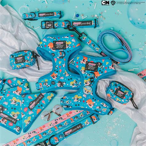 The Powerpuff Girls™ X Sassy Woof Sassy Woof Collection