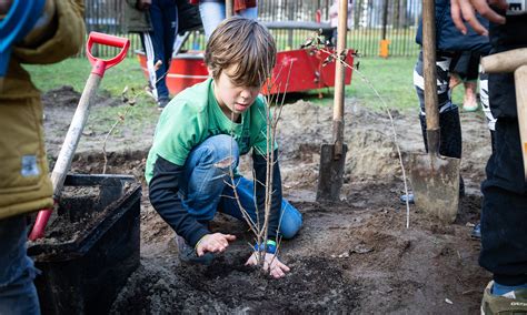 Mini Bos Gezellig Groen En Gezond Goodplanet Belgium