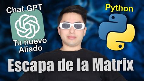 Curso De Python Desde 0 Para Principiantes Entiende La Programación Youtube