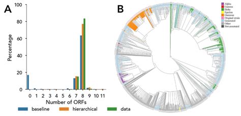Diffusion Based Hierarchical Modeling Of Sarscov 2 Genomes Results In