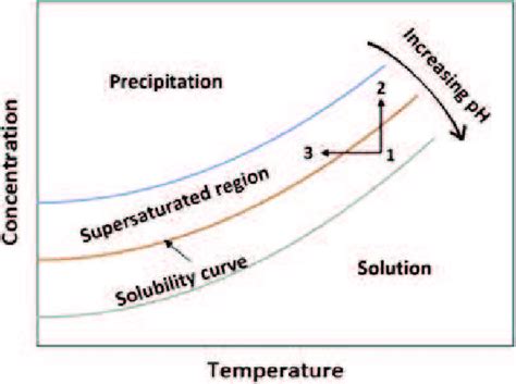 3 Supersaturation Dependence On Concentration T And Ph Download