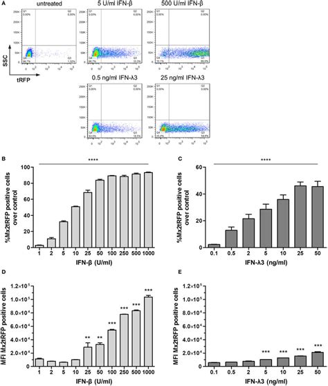 Bimodal Nature Of Gene Expression Toward Type I And Type Iii Download Scientific Diagram