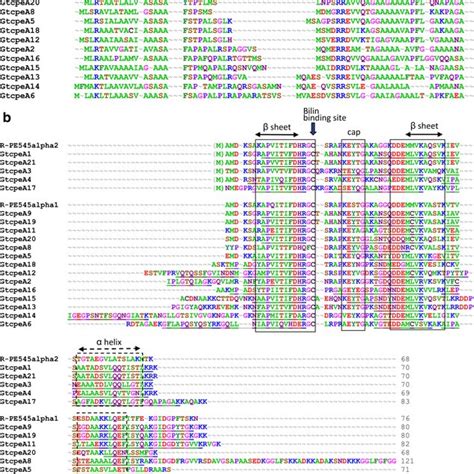 multiple sequence alignment of the g theta α subunit sequences colored