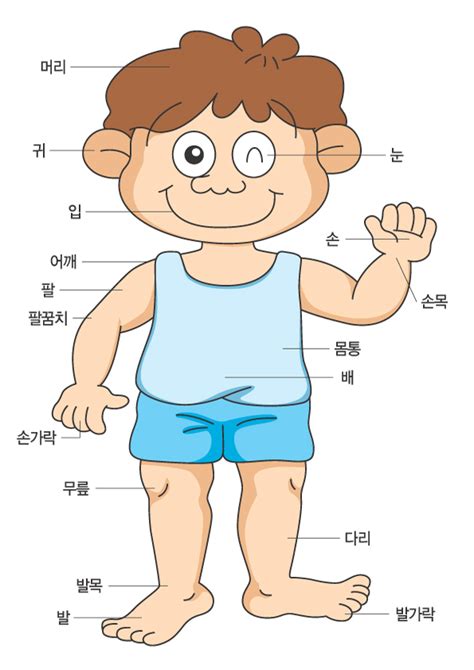 나의 몸 명칭을 알아보아요~~ 네이버 블로그