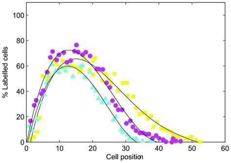 Labelling Index Corresponds To The Percentage Of Labelled Cells In Download Scientific