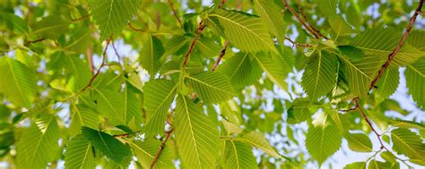 Social Innovation Home Social Innovation Research At Ucalgary University Of Calgary