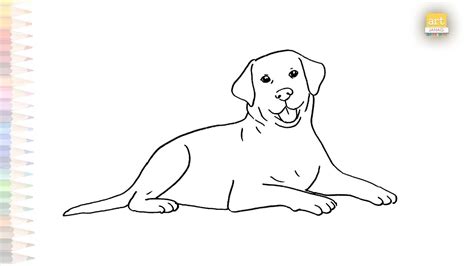 How To Draw A Realistic Labrador How To Draw A Labrador How To Draw A