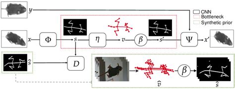 2D Pose Estimator We Use A Self Supervised 2D Pose Estimator From The
