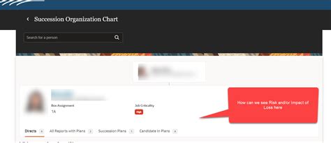 How To View Risk Impact Of Loss Ratings In The Succession Organization Chart — Cloud Customer