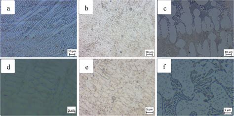 Optical Microstructure After Reagent Etching At ×50 Magnification For