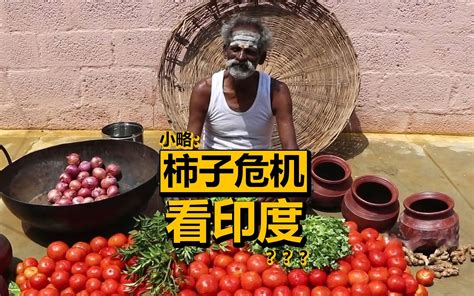 印度上演“西红柿危机”？价格暴涨堪比韩国西瓜！ 文小略 文小略 哔哩哔哩视频