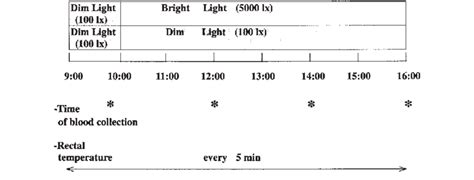 Experimental Protocol Download Scientific Diagram