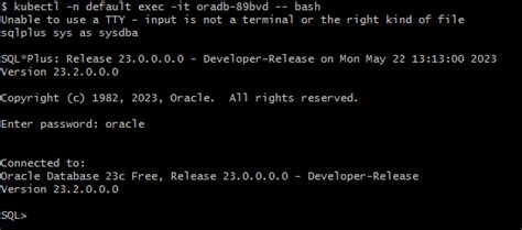 Setup Oracle Database Pod In Kubernetes Cluster Using Yaml File