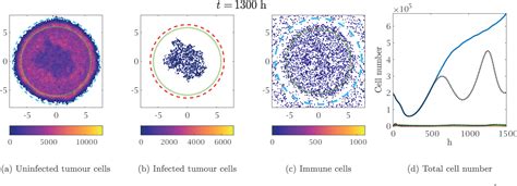 Figure 8 From A Hybrid Discrete Continuum Modelling Approach For The Interactions Of The Immune