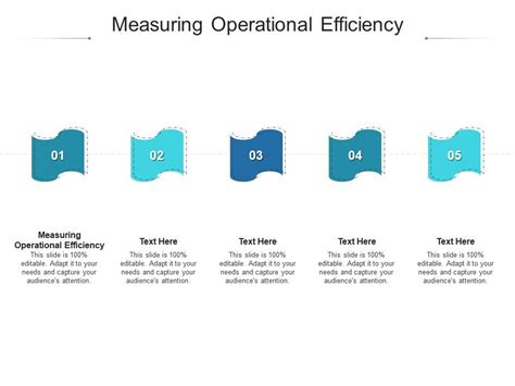 Measuring Operational Efficiency Ppt Powerpoint Presentation Professional Template Cpb