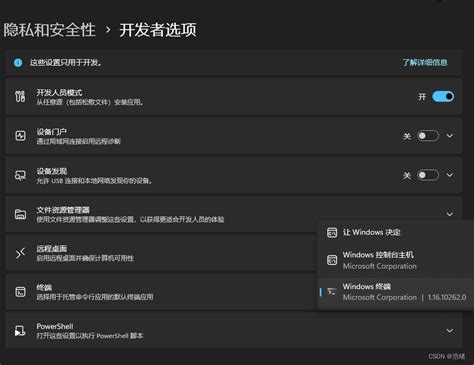 Windows上的powershell美化和linux终端zsh美化终端美化 Csdn博客
